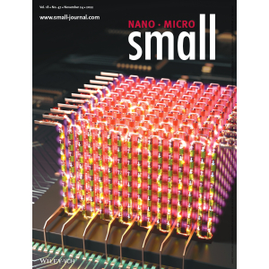 Interwire and Intrawire Magnetostatic Interactions in Fe‐Au Barcode ...
