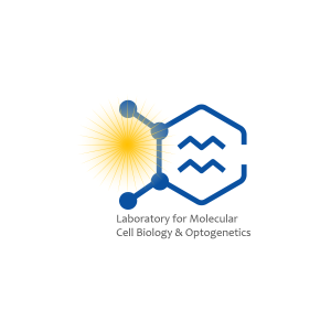 Laboratory for Molecular Cell Biology and Optogenetics | CoLab