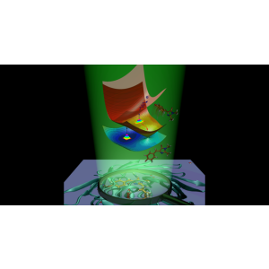 Laboratory of Quantum Photodynamics | CoLab