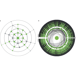 Local fitness landscape of the green fluorescent protein | CoLab