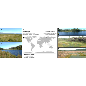 A combined microbial and biogeochemical dataset from high-latitude ...