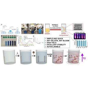 Structural Chemical Modification of Polymers | CoLab