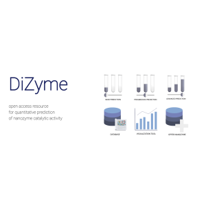 DiZyme: Open‐Access Expandable Resource for Quantitative Prediction of ...
