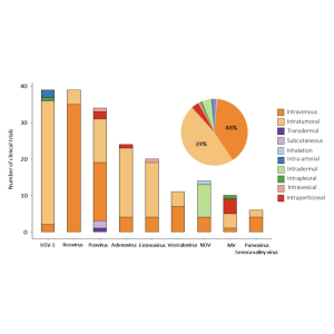 Combinatorial Approaches for Cancer Treatment Using Oncolytic Viruses ...