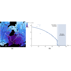 Self-organization of conducting pathways explains electrical wave ...