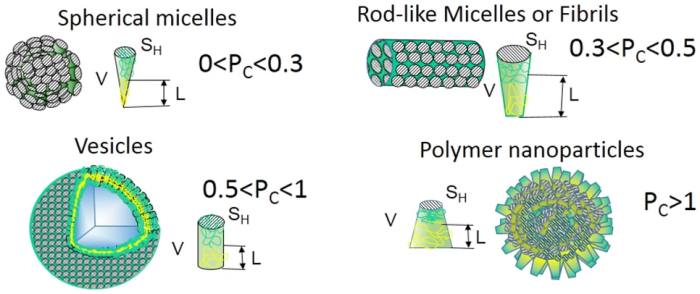 Evaluation of critical packing parameter in the series of polytyrosine ...
